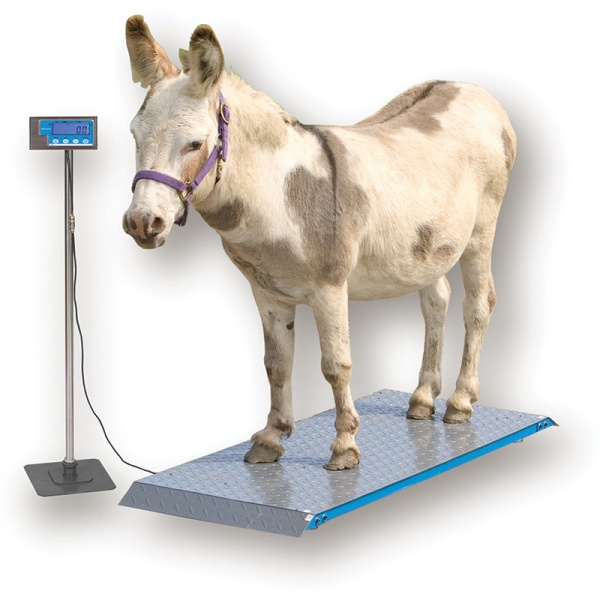 Large Animal / Livestock Scales