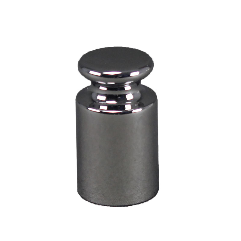 Adam OIML Class E2 100g Calibration Weight