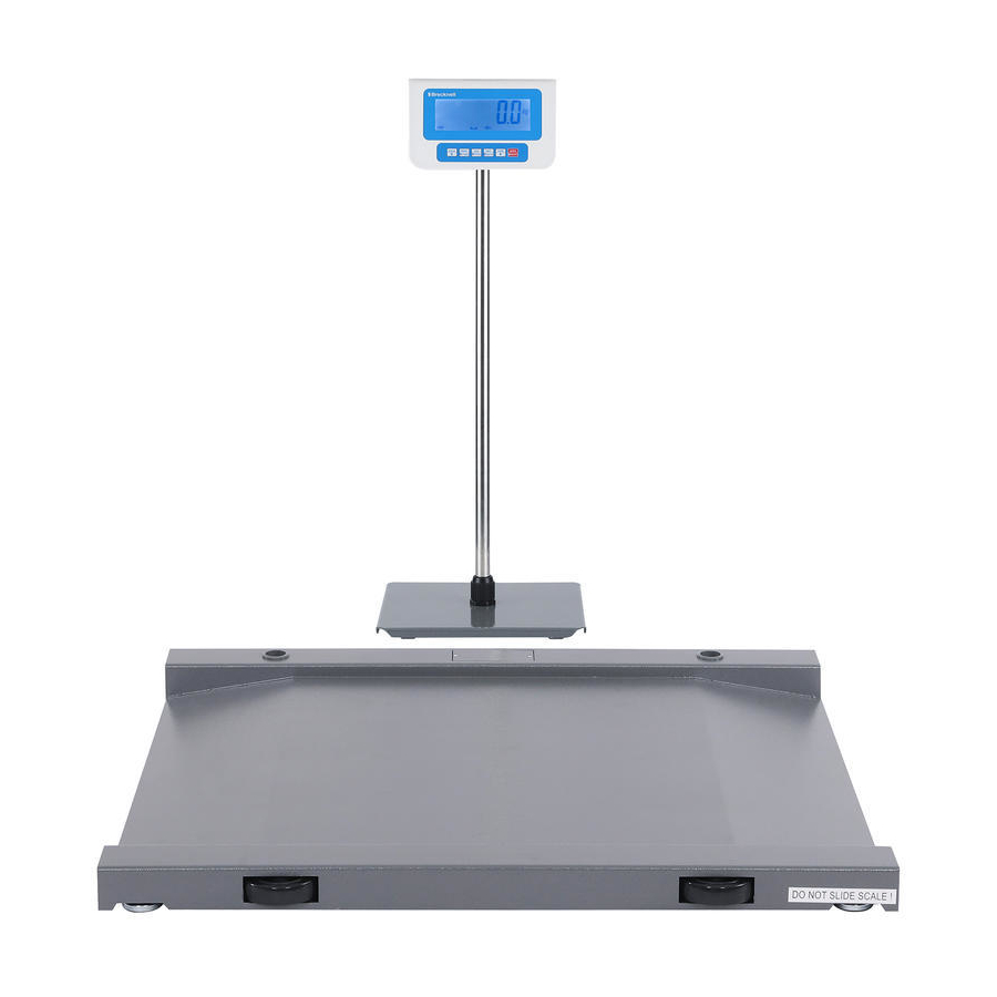 Brecknell DS1000-LCD Floor Scale - Capacity: 500 kg