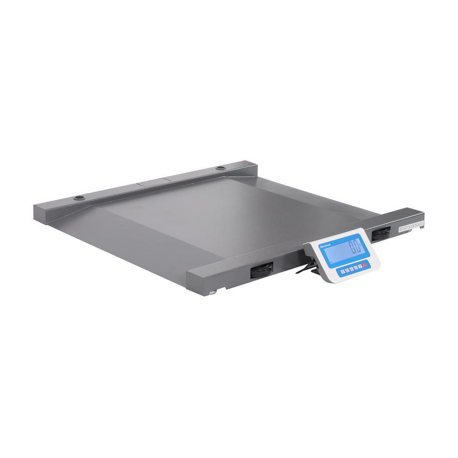 Brecknell DS1000-LCD Floor Scale - Capacity: 500 kg