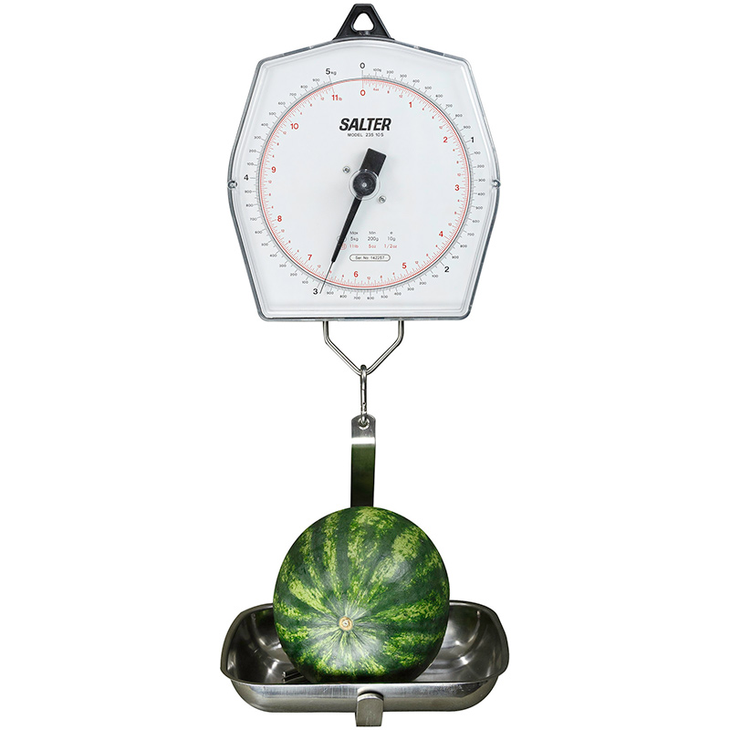 Salter Brecknell 235 10S Hanging Scales