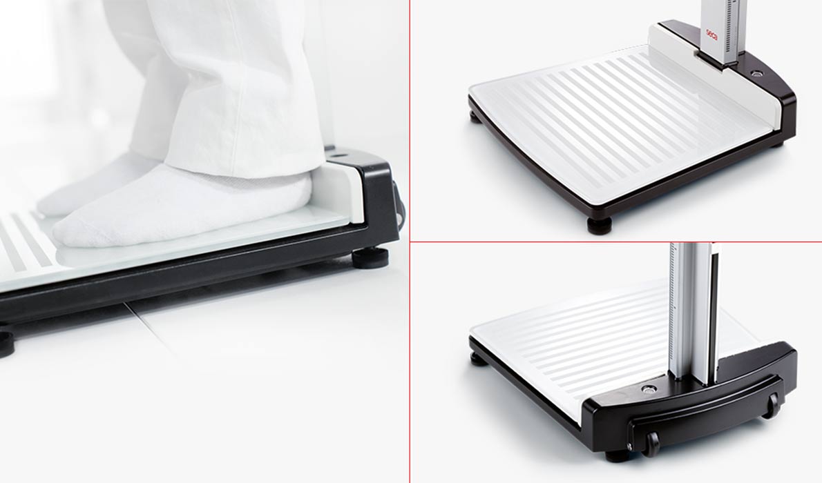 Seca 285 Measuring Station and Column Scales