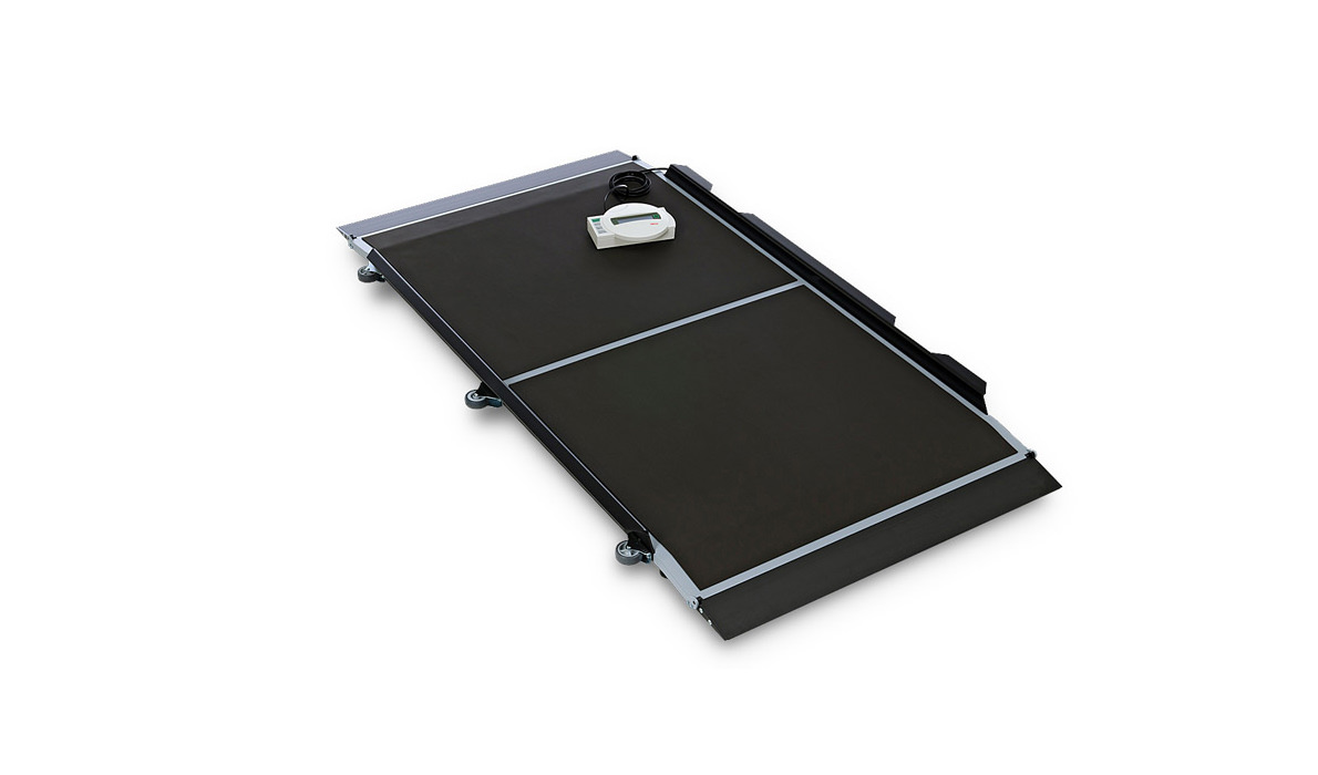 Seca 657 Class III Platform Scales