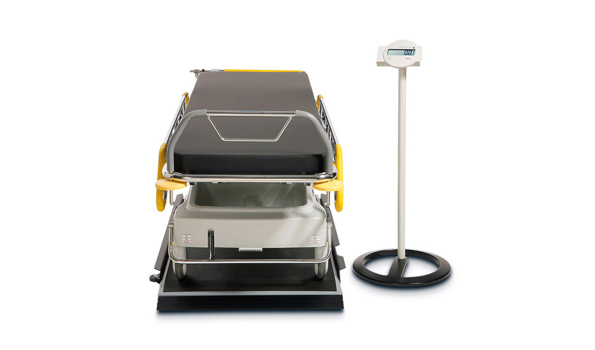 Seca 657 Class III Platform Scales