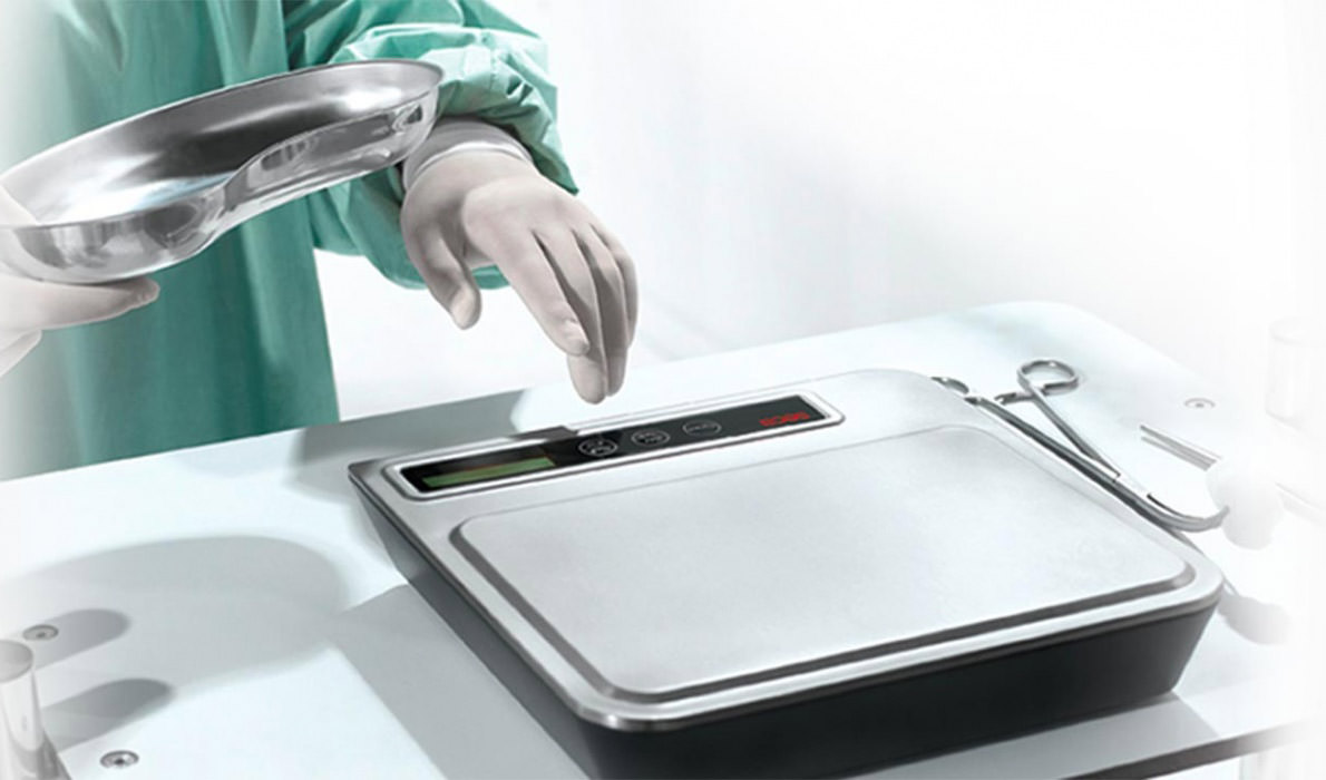 Seca 856 Digital Organ & Diaper Scale