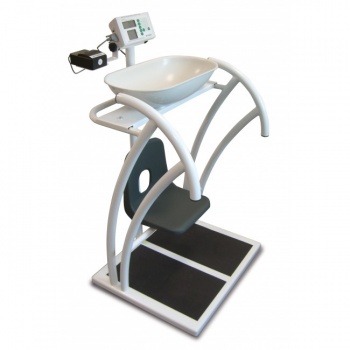 Wheelchair Scales, Class III Approved from Seca & Marsden