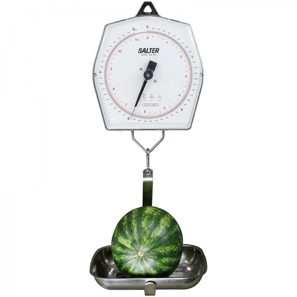 Hanging Scales & Spring Scales by Salter Brecknell | Our Weigh®