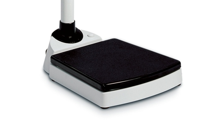 Seca Medical Column Scales